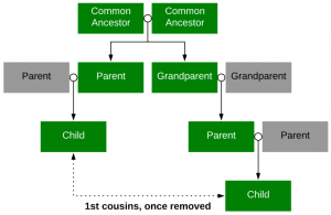 Cousin Relationships — How do you calculate cousins? Genealogy Explained