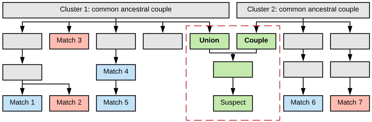 Investigative Genetic Genealogy: How Does it Work? Investigative Genetic Genealogy: How Does it Work?