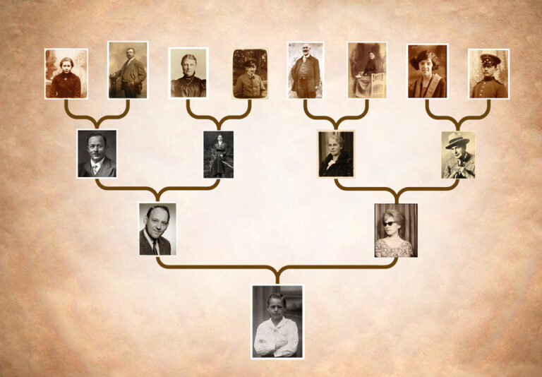 Tracing Our Past E-Book: A Beginner's Guide to Building Your Family ...