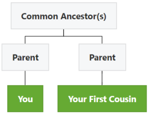 What is a First Cousin? Family Relationship Explained